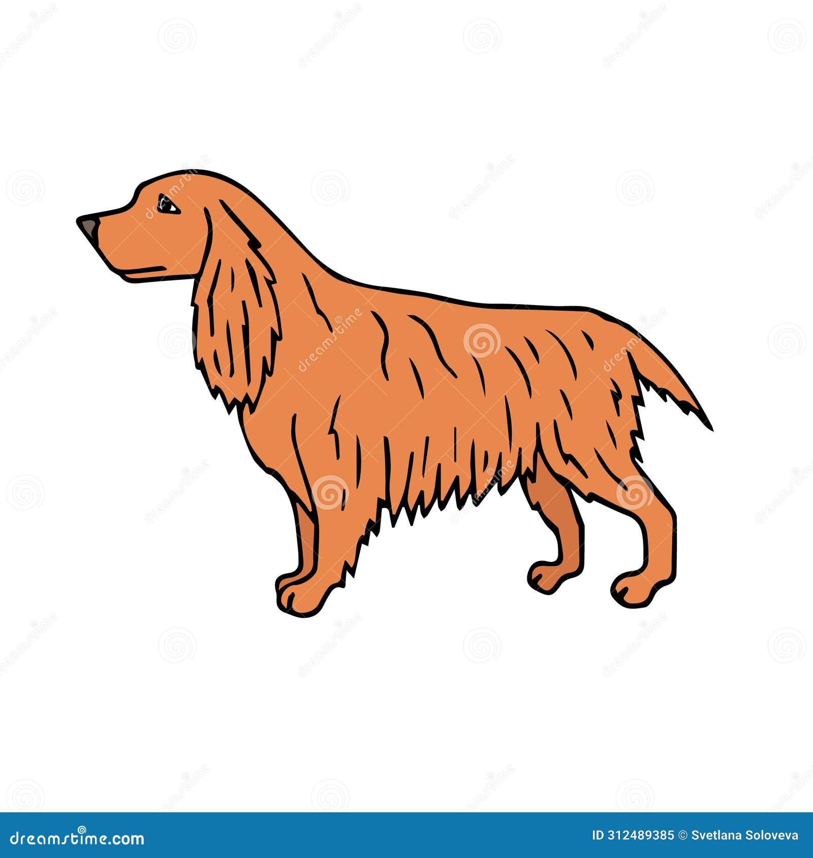 Vector Hand Drawn Colored Spaniel Dog Stock Vector - Illustration of ...