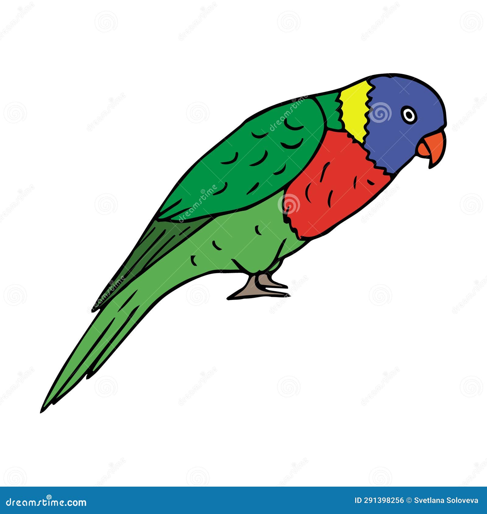Vector Hand Drawn Doodle Colored Lory Parrot Stock Vector ...