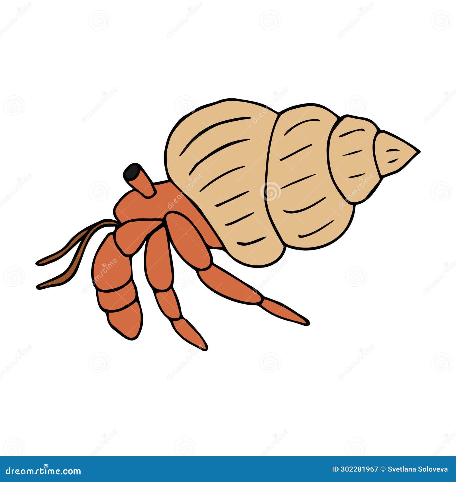 Hermit Crab Simple Drawing