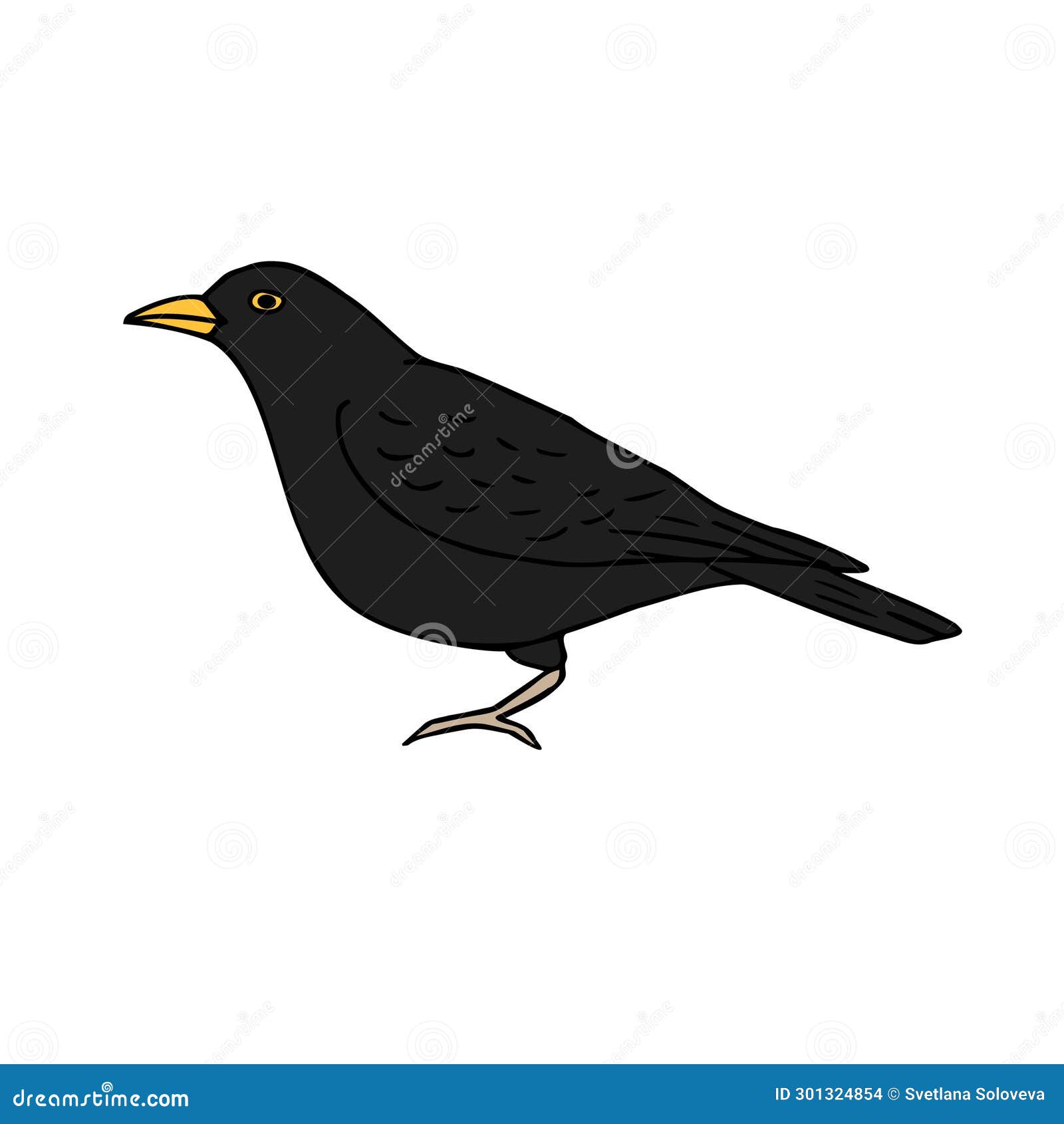 Vector Hand Drawn Doodle Sketch Black Catbird Bird Stock Illustration ...