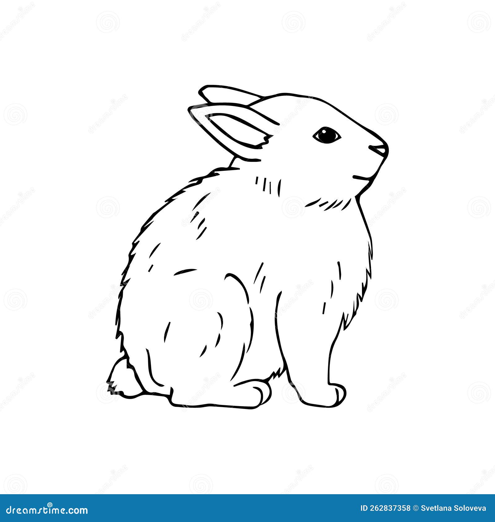 Vector Hand Drawn Doodle Sketch Bunny Rabbit Stock Vector ...