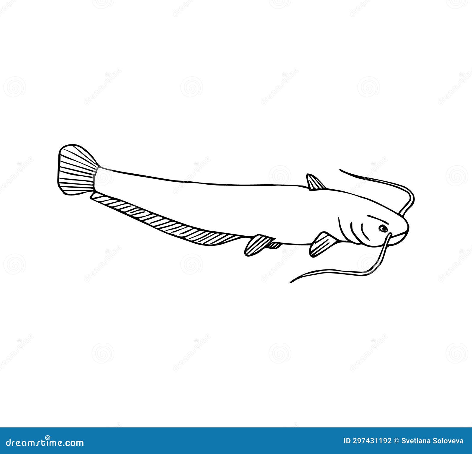 Catfish Fish Illustration, Drawing, Engraving, Line Art, Realistic ...