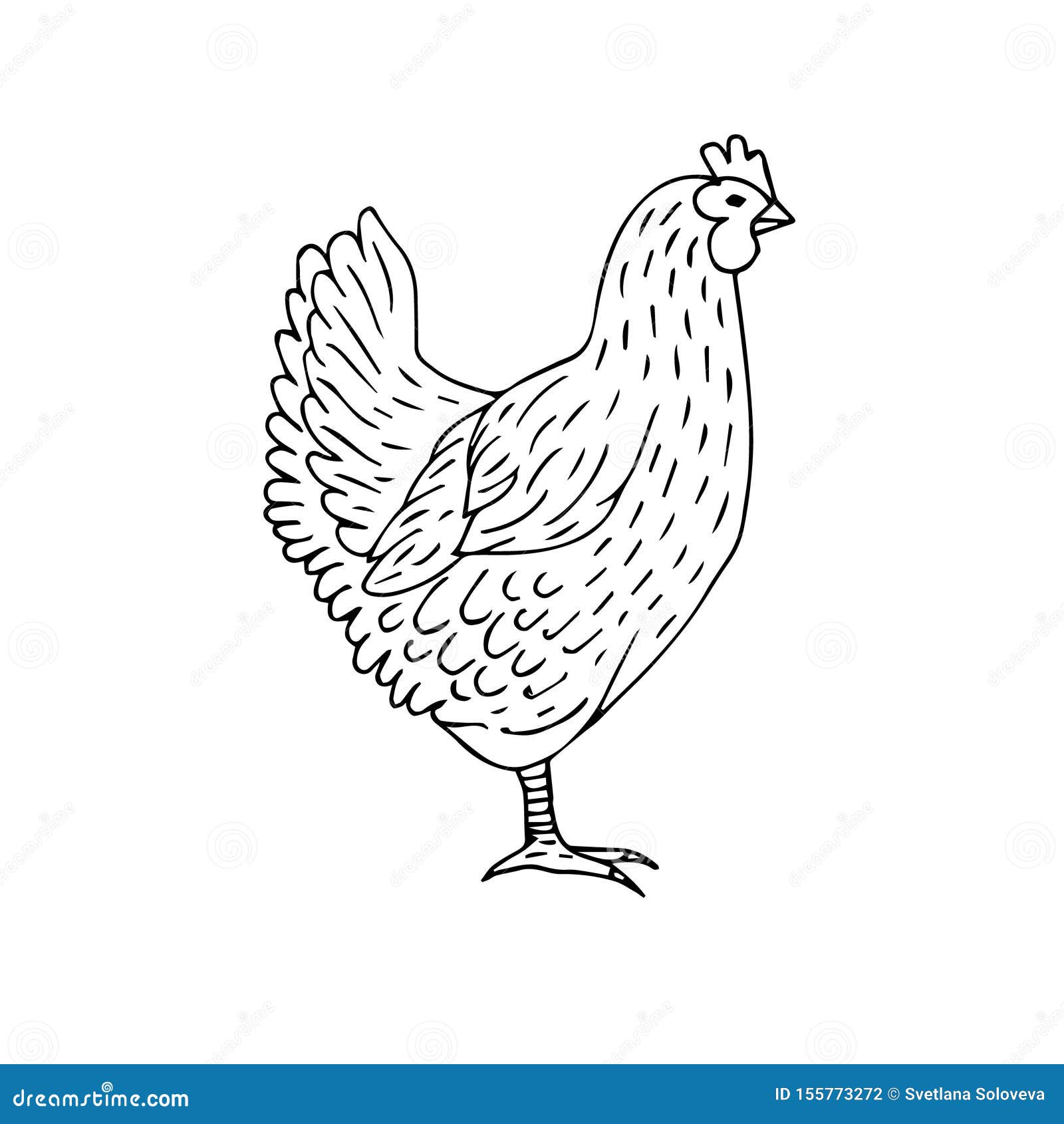 Vector Hand Drawn Doodle Sketch Chicken Stock Vector - Illustration of ...