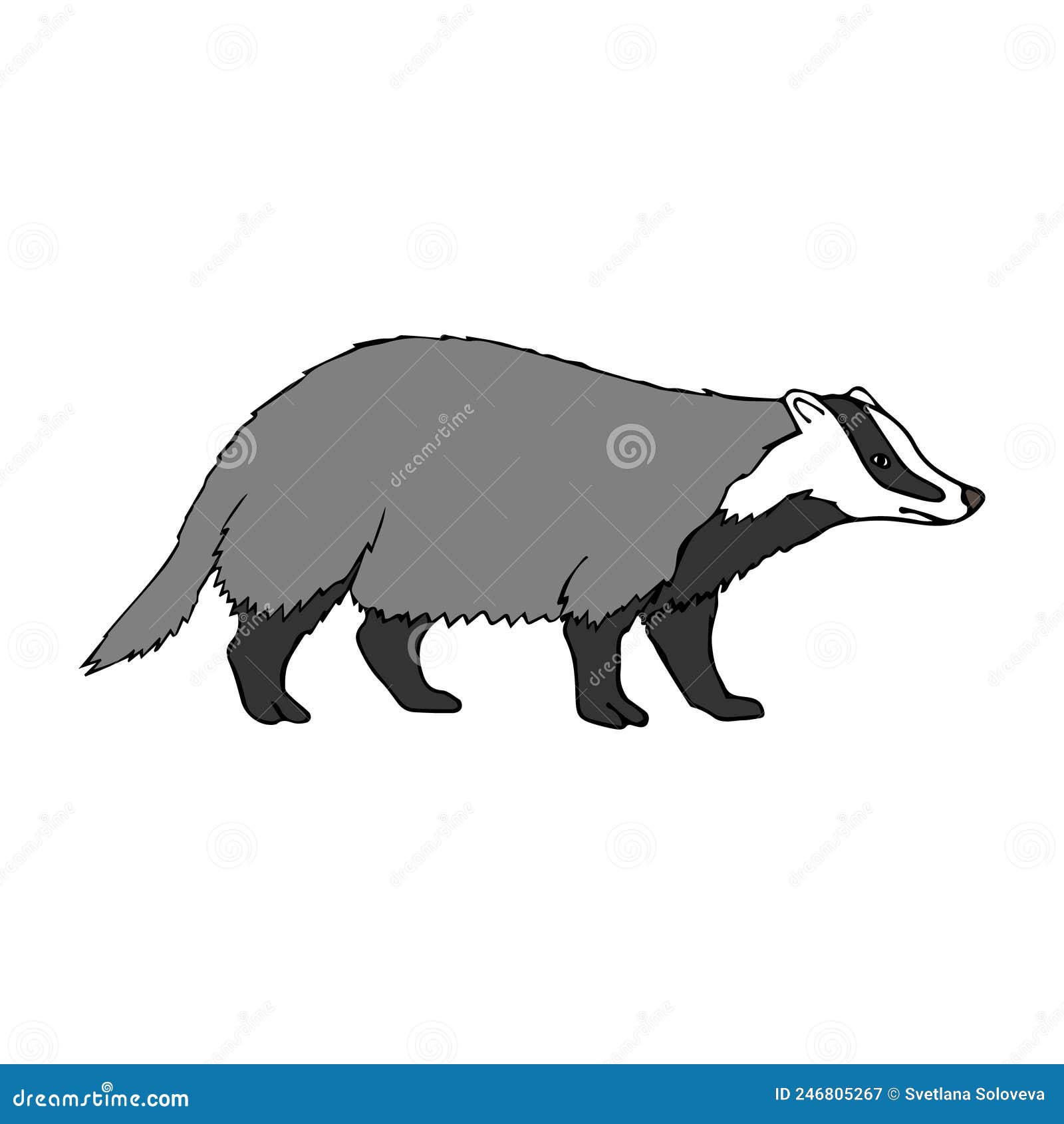 Vector Hand Drawn Doodle Sketch Colored Badger Stock Vector ...