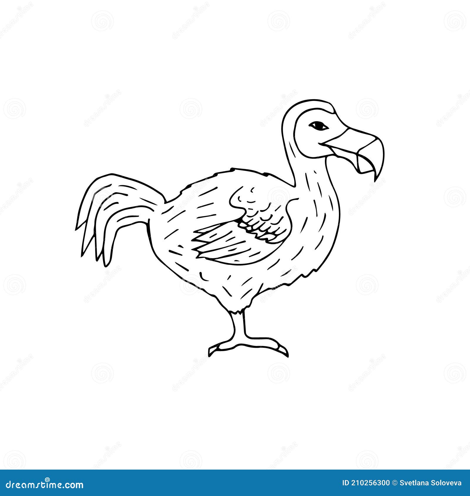 Vector Hand Drawn Doodle Sketch Dodo Bird Stock Vector - Illustration ...