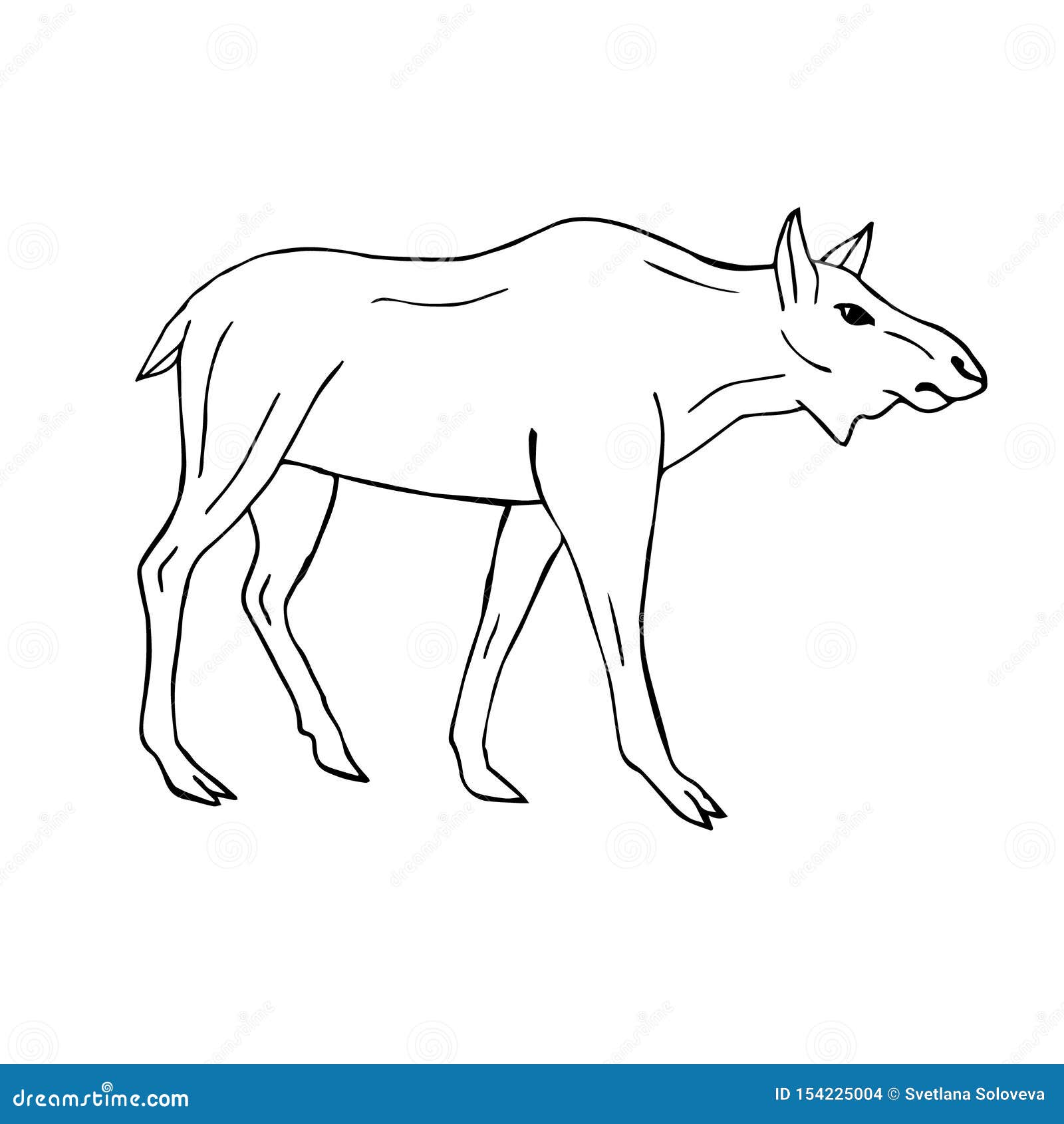 Vector Hand Drawn Doodle Sketch Female Moose Cow Stock Vector ... Vector Hand Drawn Doodle Sketch Female Moose Cow Stock Vector ...