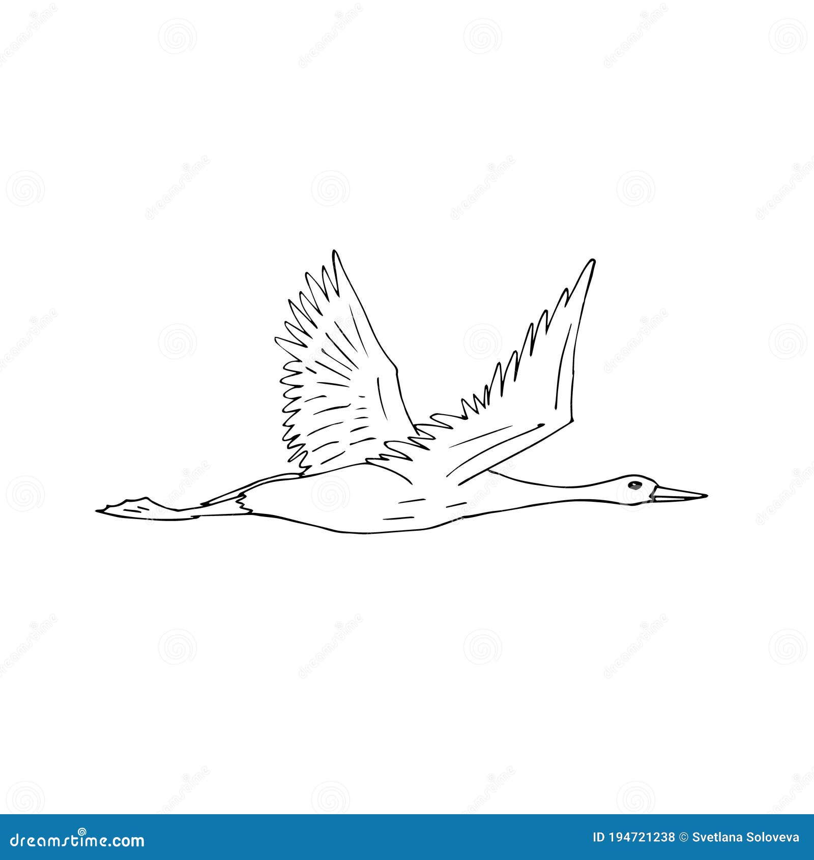 Vector Hand Drawn Doodle Sketch Flying Crane Bird Stock Vector ...