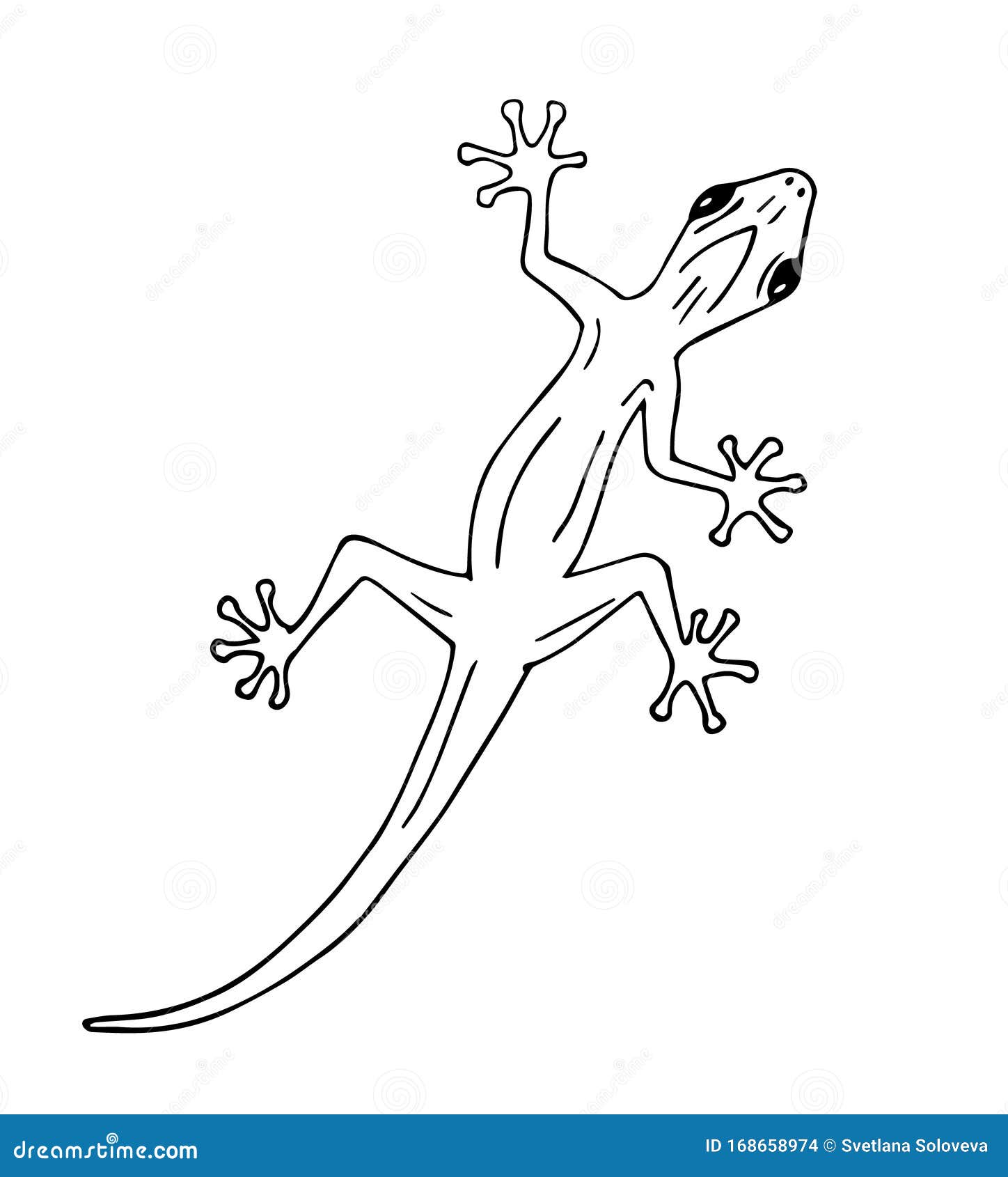 Lizard Outline