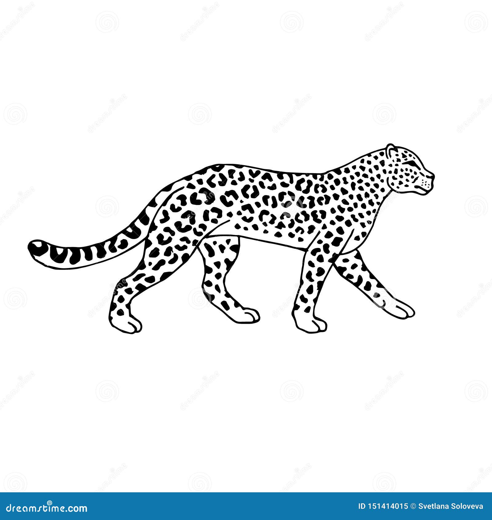 Vector Hand Drawn Doodle Sketch Leopard Stock Vector - Illustration of ...
