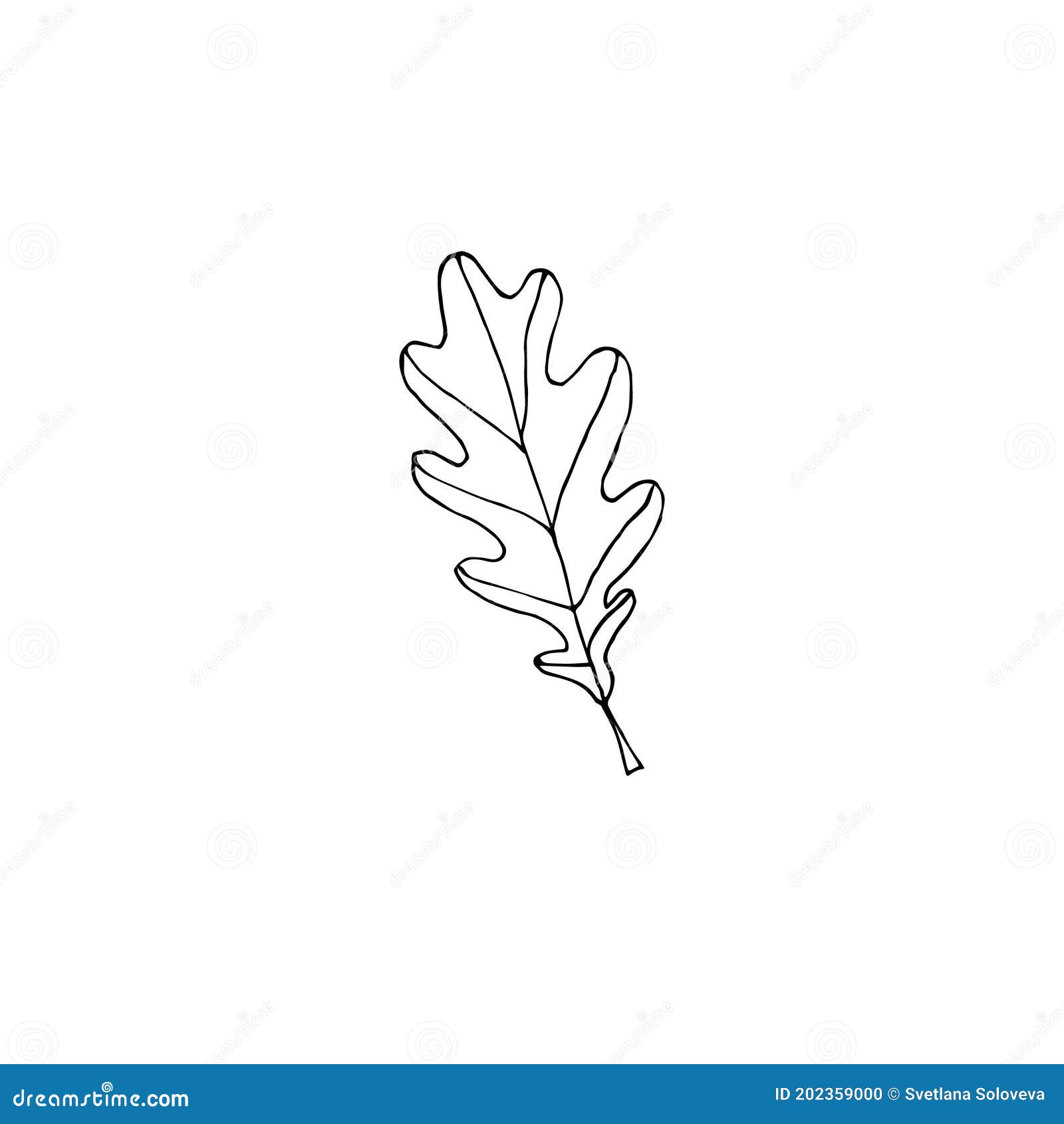 Vector Hand Drawn Doodle Sketch Oak Leaf Stock Illustration ...