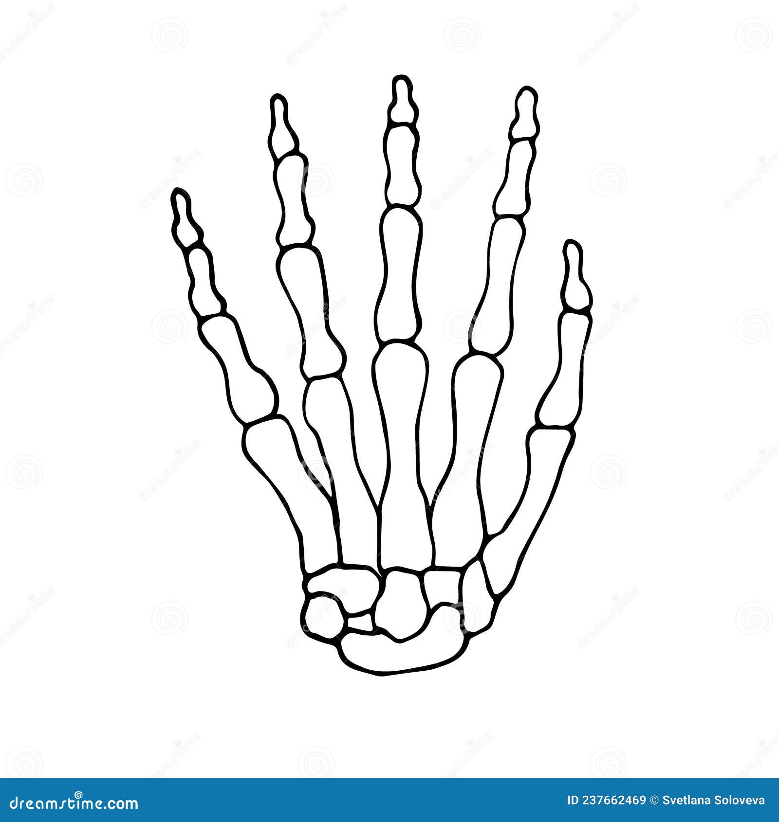 Vector Hand Drawn Doodle Sketch Skeleton Hand Stock Vector ... Vector Hand Drawn Doodle Sketch Skeleton Hand Stock Vector ...
