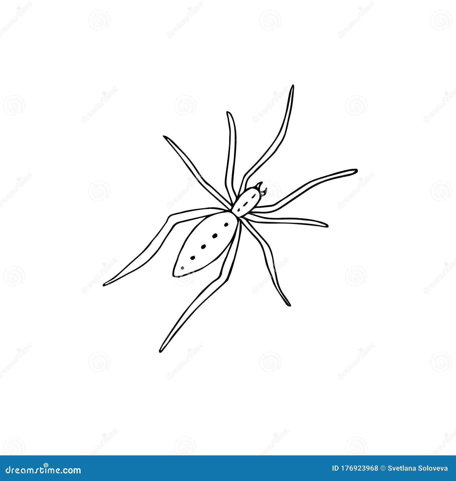 Vector Hand Drawn Doodle Sketch Spider Stock Illustration ...