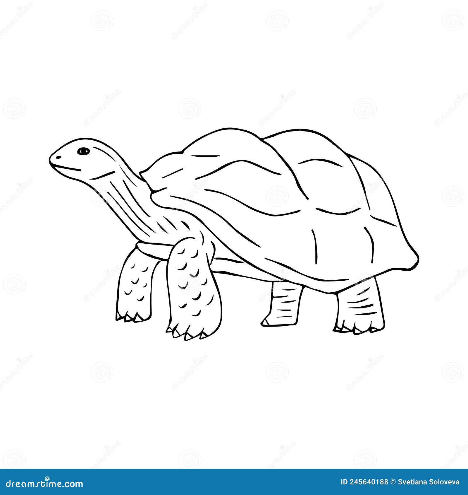 A Sketch Of A Turtle On The Seabed Stock Photo | CartoonDealer.com ...