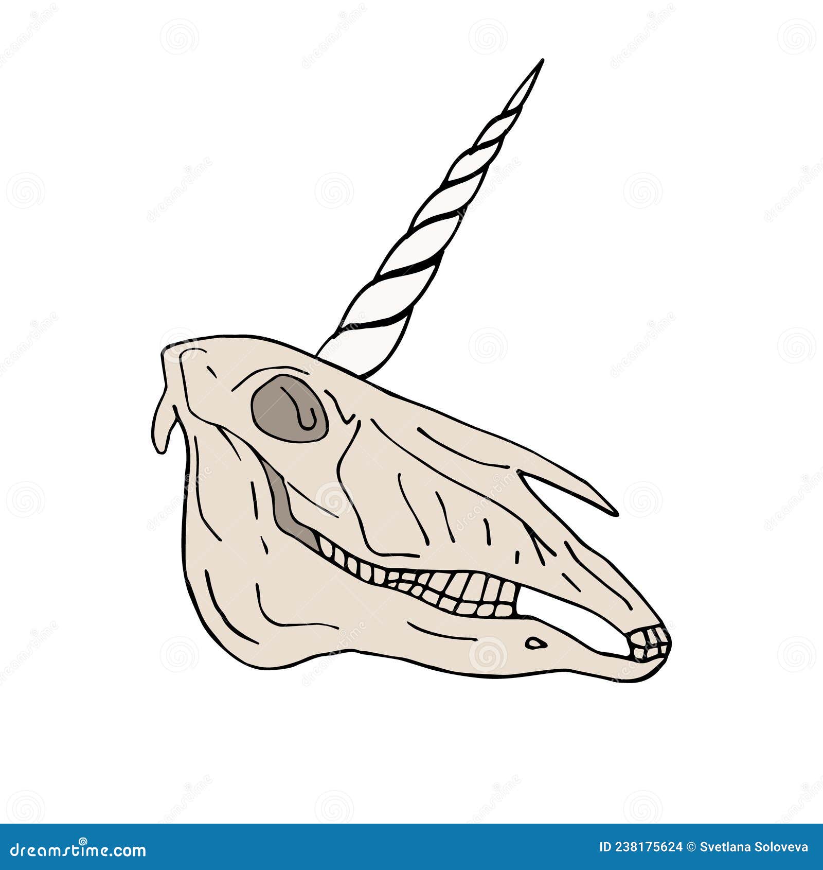 Vector Hand Drawn Doodle Sketch Unicorn Skull Stock Vector ...