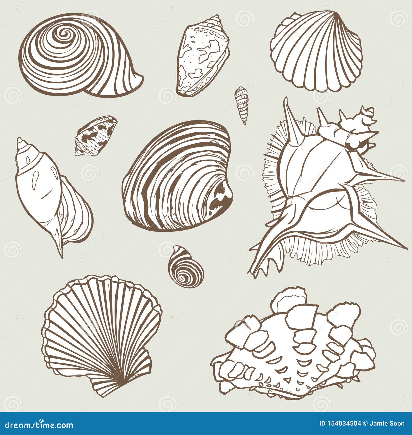 Vector Hand Drawn Elements from Seashell Paradise Collection. Element ...