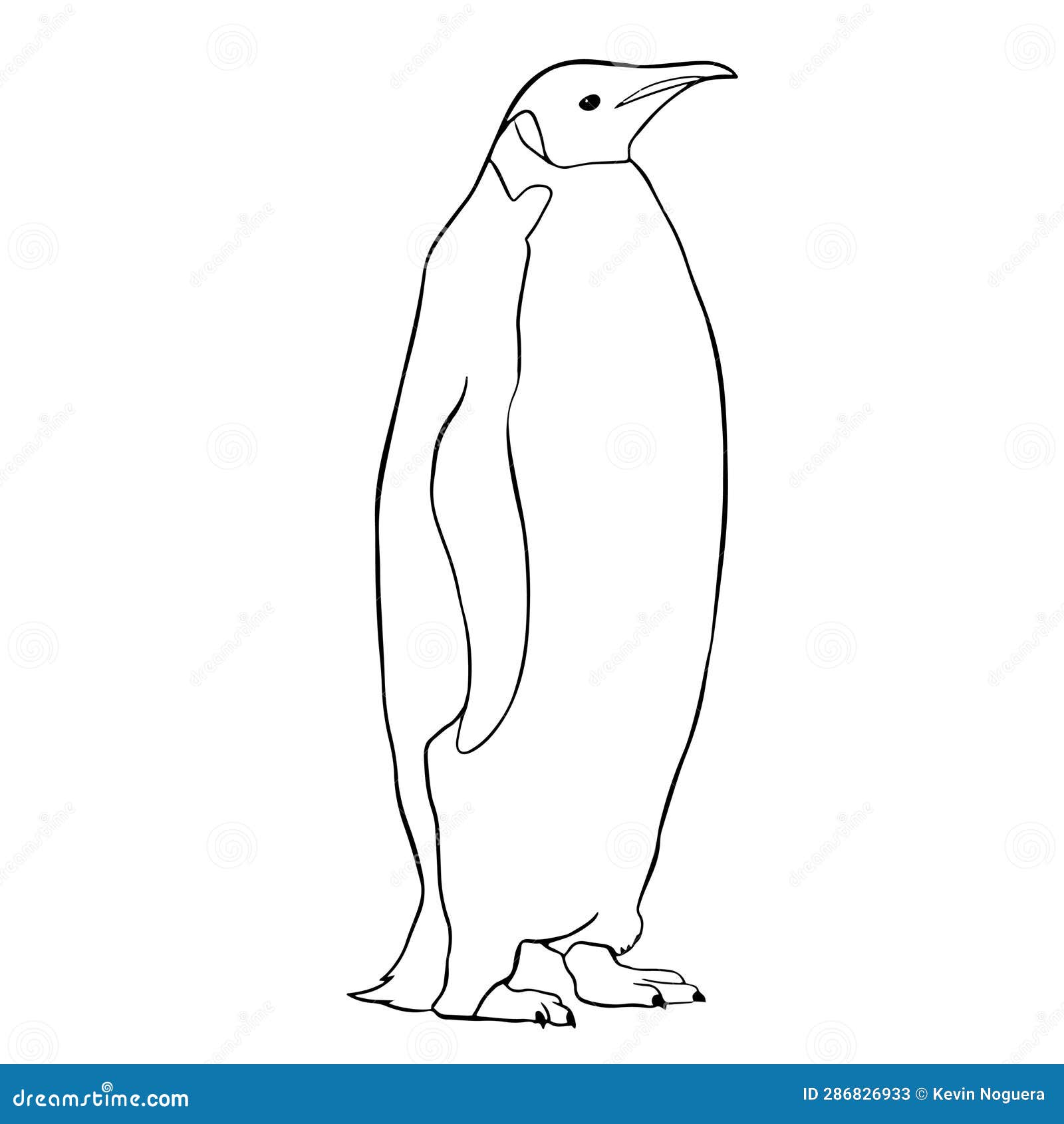 Vector Hand Drawn Emperor Penguin Outline Illustration for Coloring ...