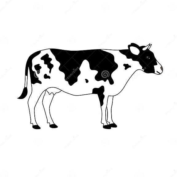 Vector hand drawn flat cow stock vector. Illustration of milk - 282876767