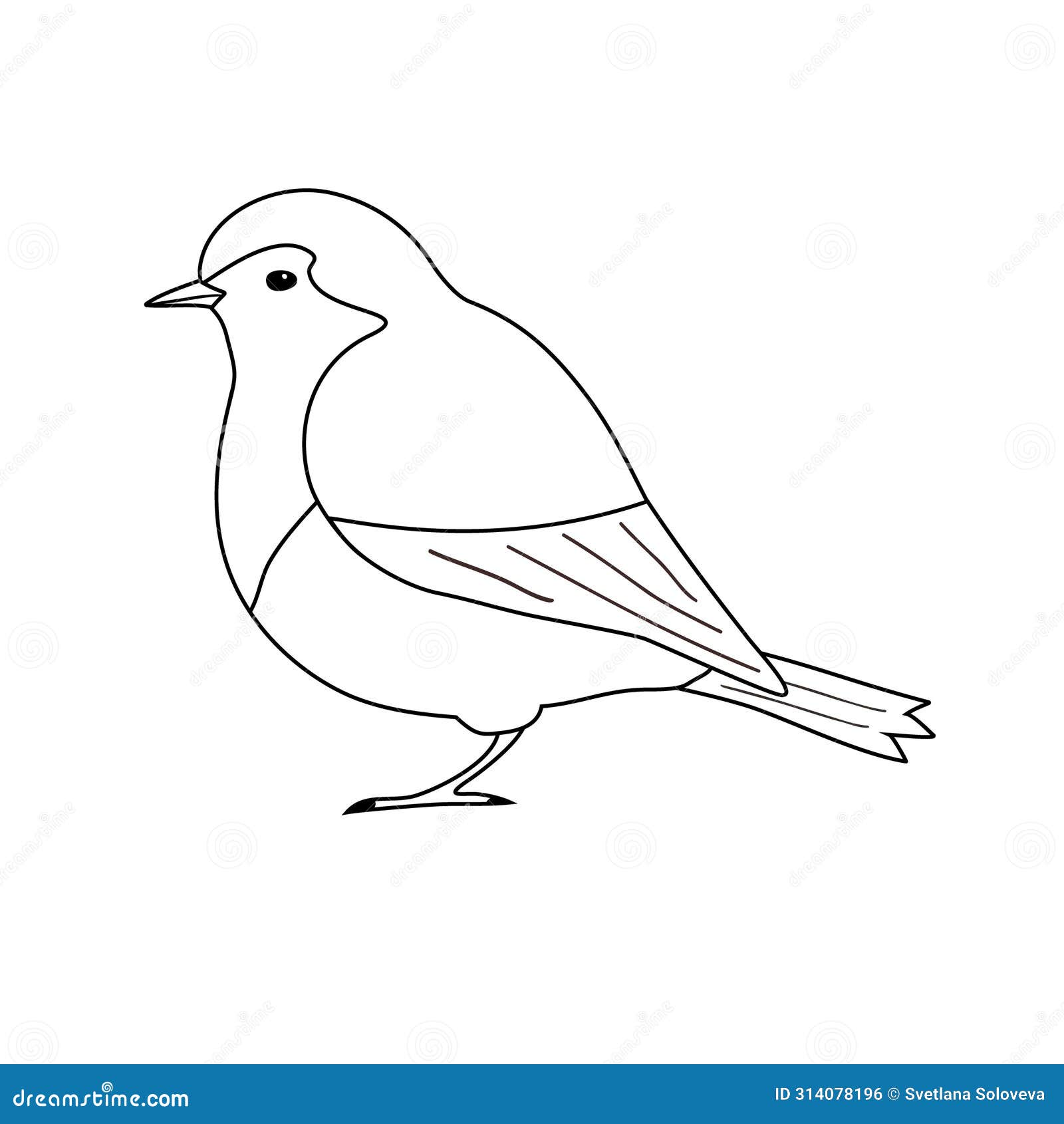 Vector Hand Drawn Flat Outline Robin Bird Stock Vector - Illustration ...