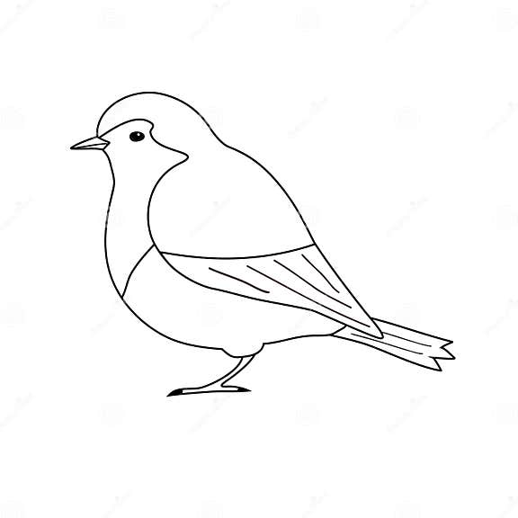 Vector Hand Drawn Flat Outline Robin Bird Stock Vector - Illustration ...