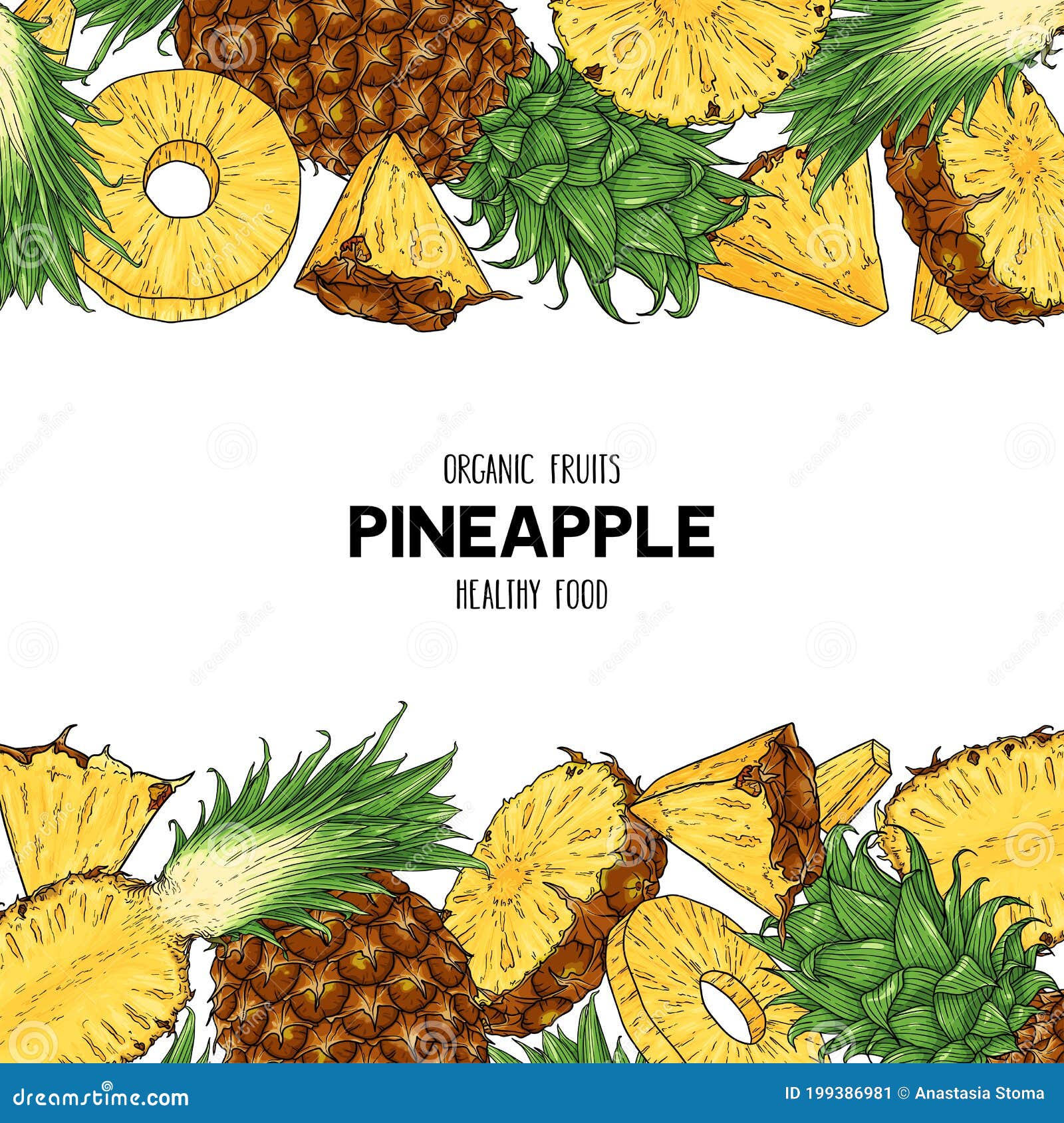 Vector Hand Drawn Frame with Organic Pineapple Stock Vector ...