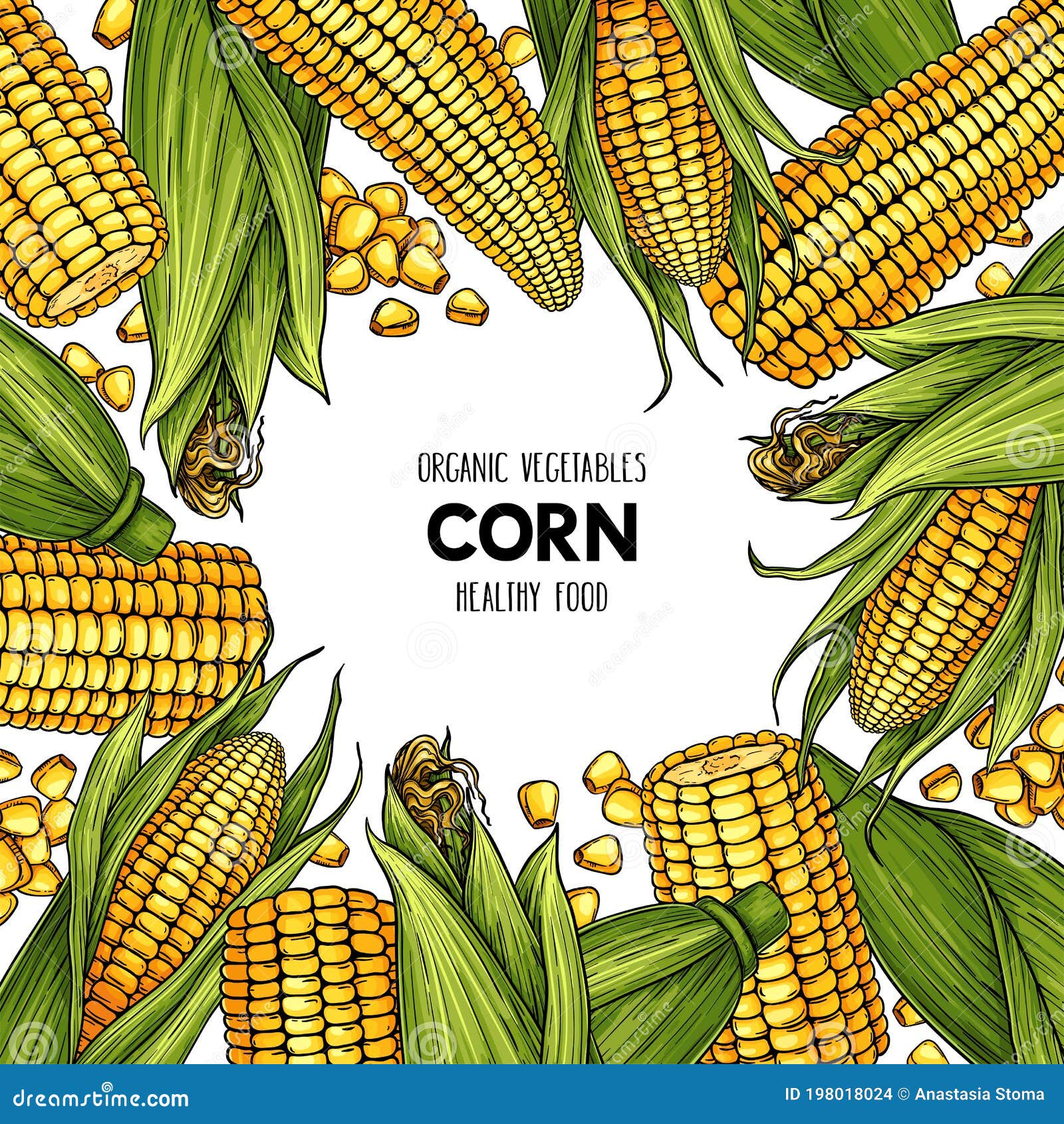 Vector Hand Drawn Frame with Ripe Corn Cobs and Grain Stock Vector ...