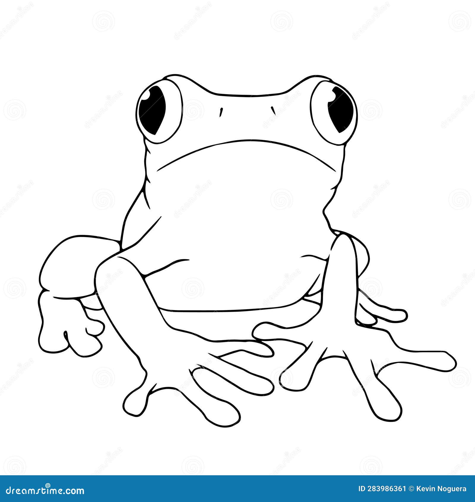Frog Outline. Abstract Frog On White Background. Toad Vector ...