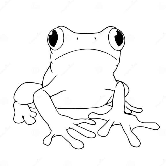 Vector Hand Drawn Frog Outline Illustration Stock Vector - Illustration ...
