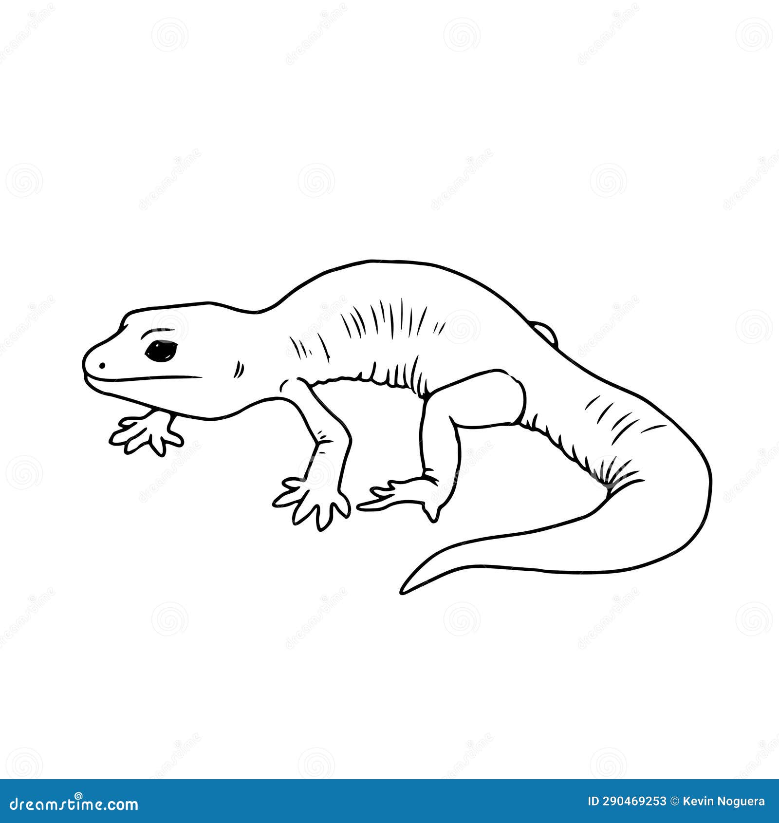 Vector Hand Drawn Gecko Outline Illustration Stock Illustration ...