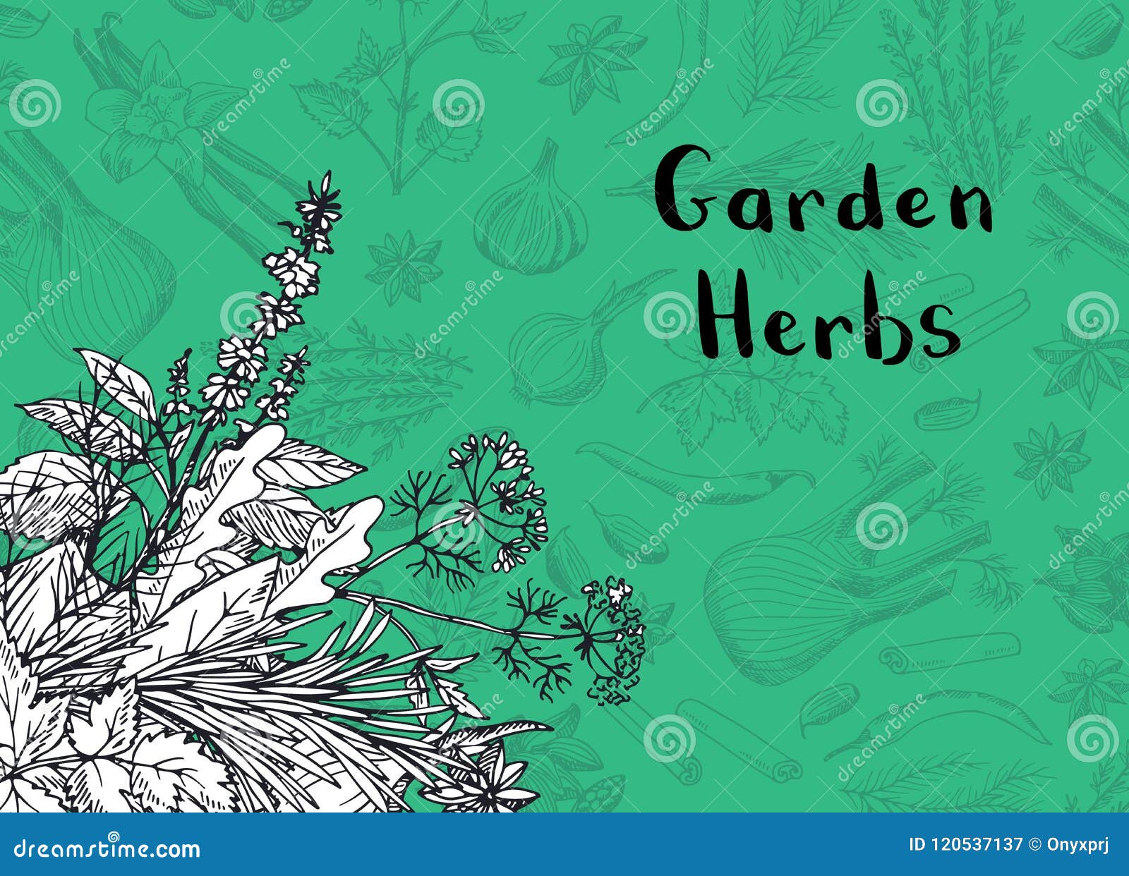 Vector Hand Drawn Herbs and Spices Background Stock Vector ... Vector Hand Drawn Herbs and Spices Background Stock Vector ...