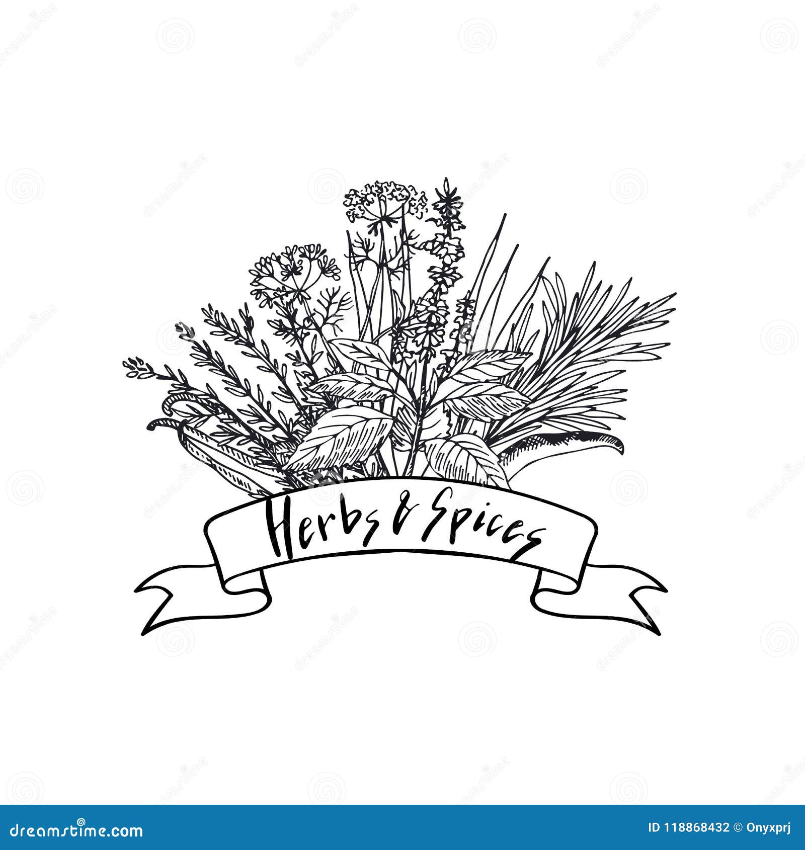 Vector Hand Drawn Herbs and Spices in Bouquet Stock Vector ... Vector Hand Drawn Herbs and Spices in Bouquet Stock Vector ...