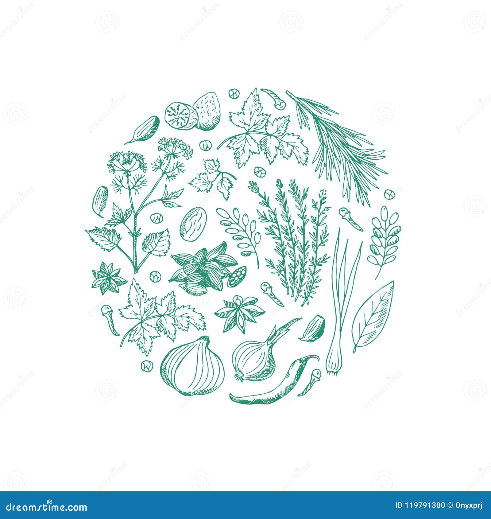 Vector Hand Drawn Herbs and Spices in Circle Shape Illustration Stock ... Vector Hand Drawn Herbs and Spices in Circle Shape Illustration Stock ...