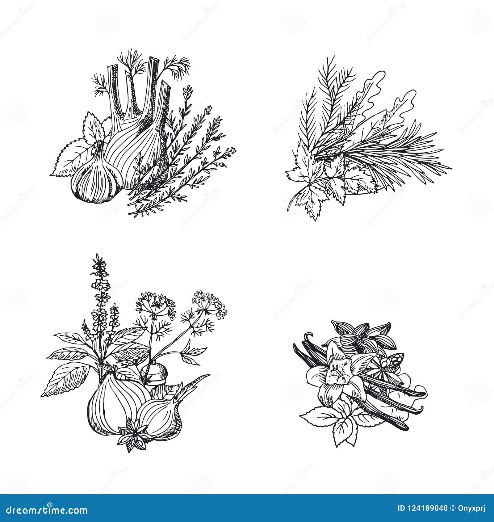 Vector Hand Drawn Herbs and Spices Piles Set Illustration Stock Vector ... Vector Hand Drawn Herbs and Spices Piles Set Illustration Stock Vector ...