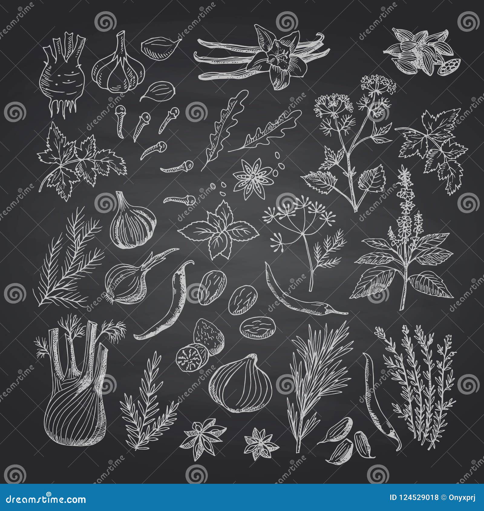 Vector Hand Drawn Herbs and Spices on Black Chalkboard Illustration ...