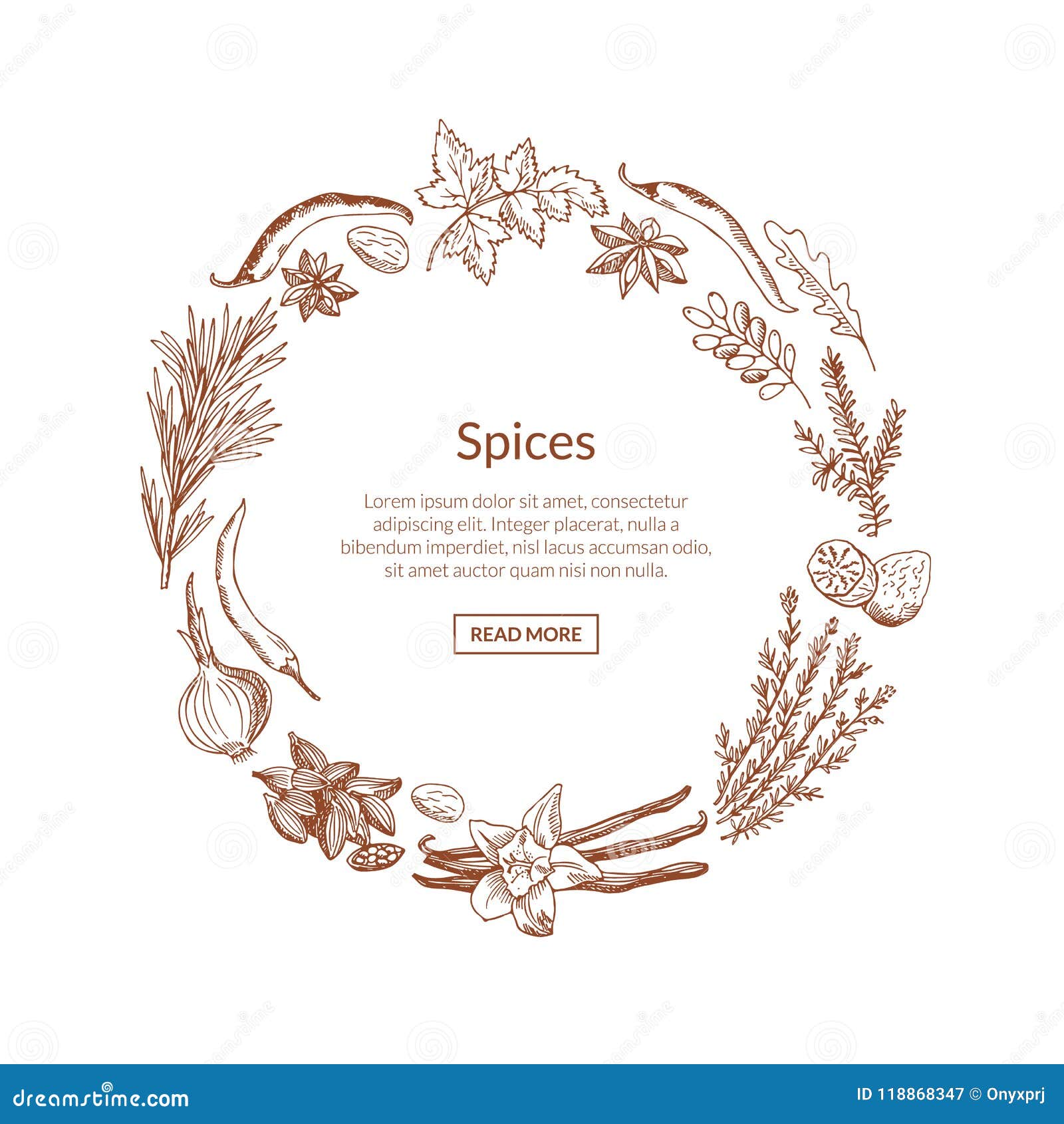Vector Hand Drawn Herbs and Spices Stock Vector - Illustration of leaf ... Vector Hand Drawn Herbs and Spices Stock Vector - Illustration of leaf ...