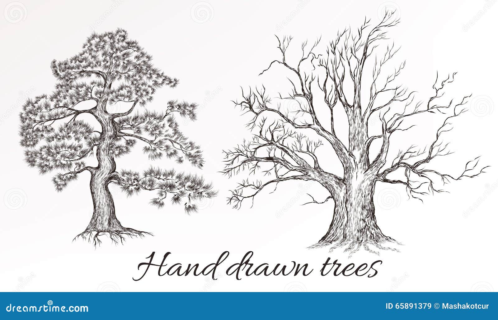 Vector Hand Drawn High Detailed Trees for Design Stock Vector ...