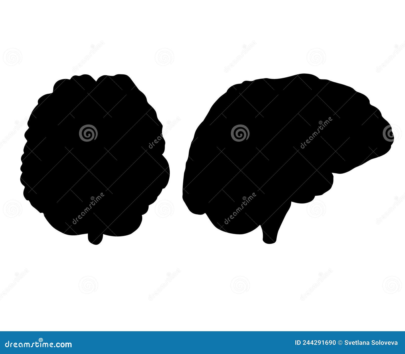 Vector Hand Drawn Human Brain Silhouette Stock Illustration ...
