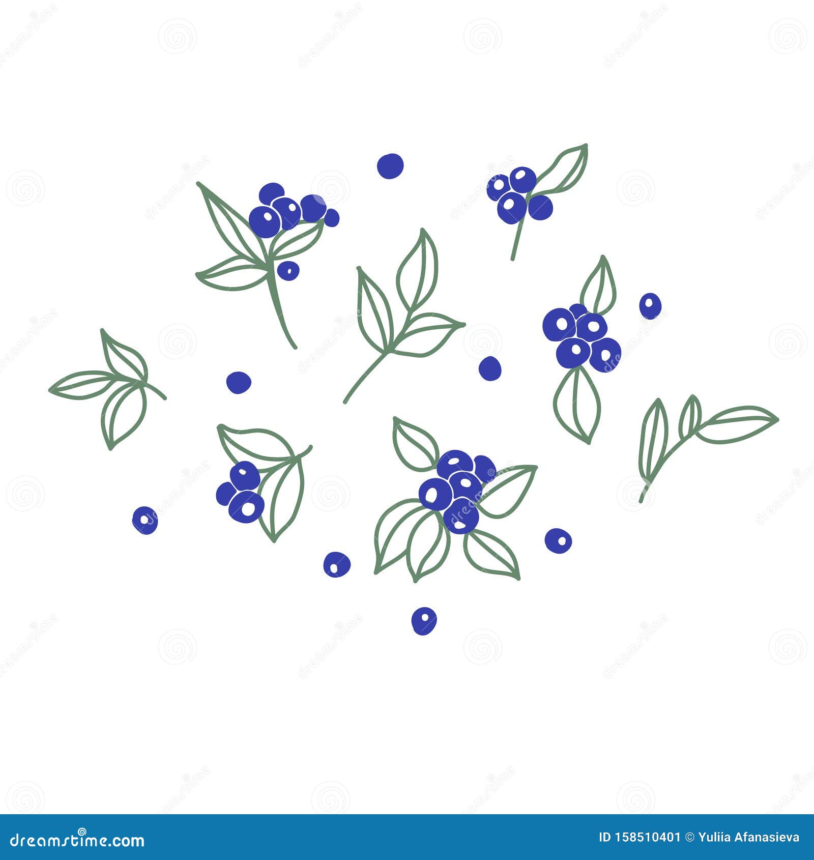 Vector Hand Drawn Illustration with Blueberries Stock Vector ...