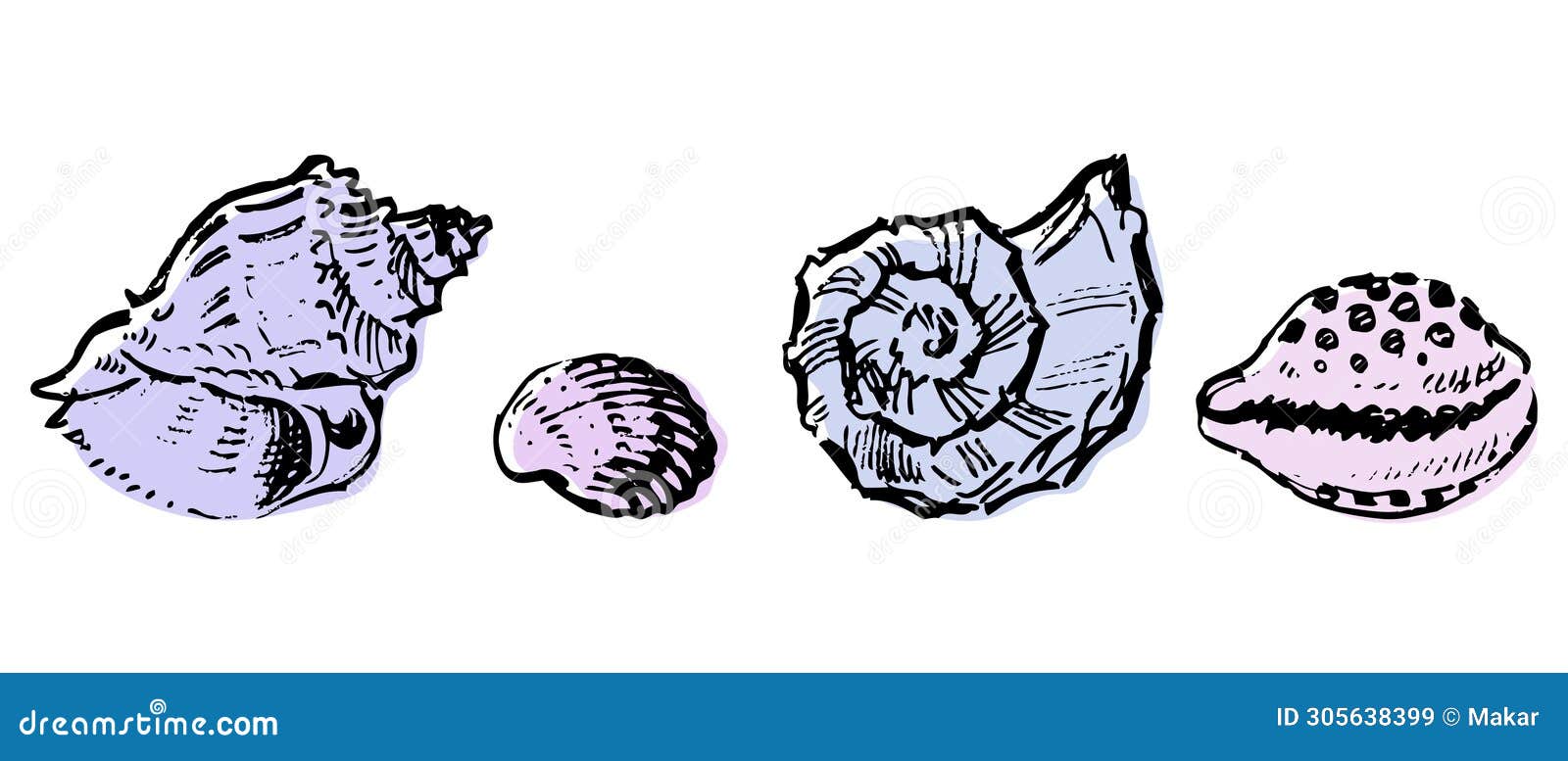 Vector Hand Drawn Illustration of Different Four Seashells, Sketches ...