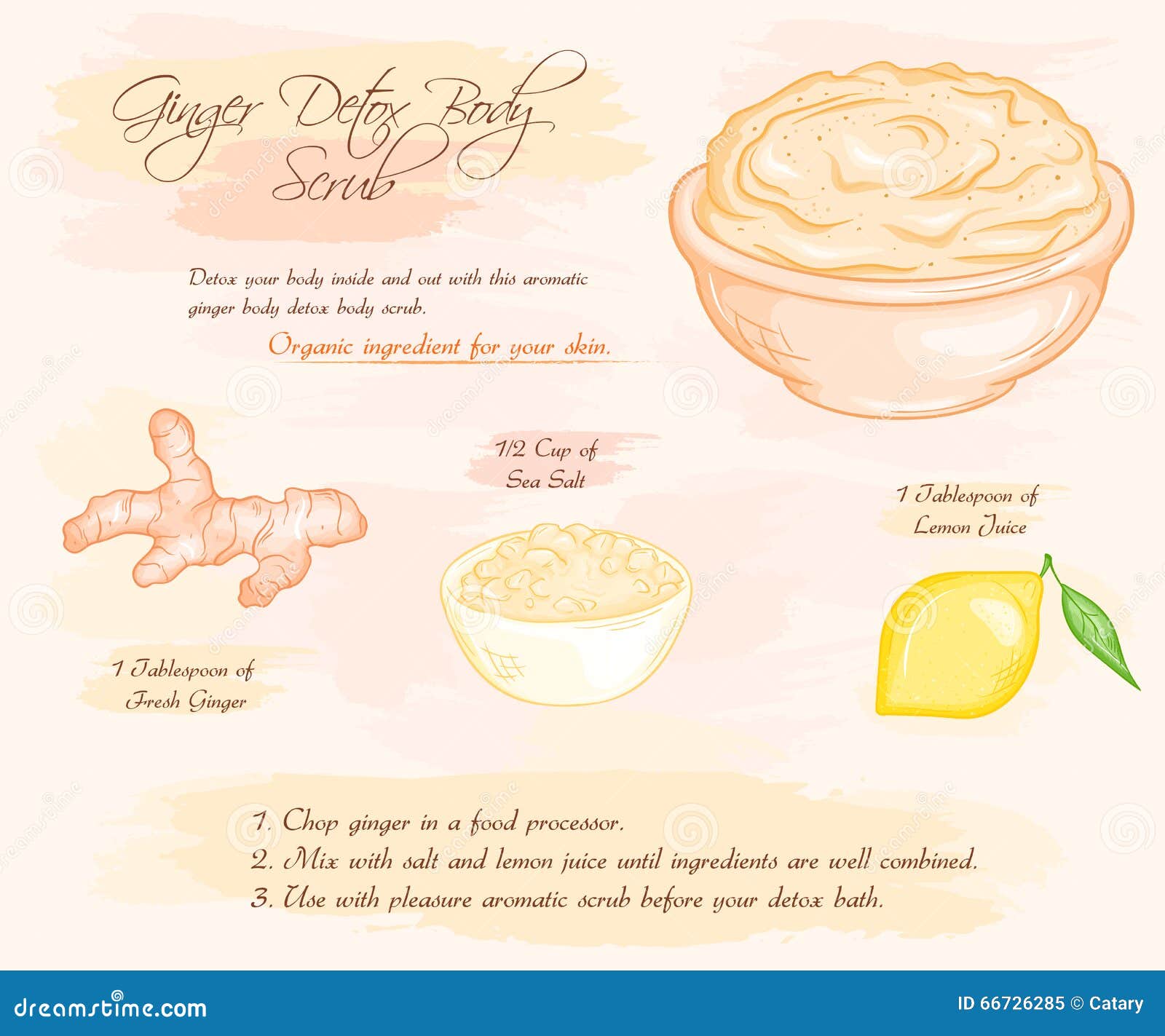 Vector Hand Drawn Illustration of Ginger Detox Salt Scrub Recipe Stock ...