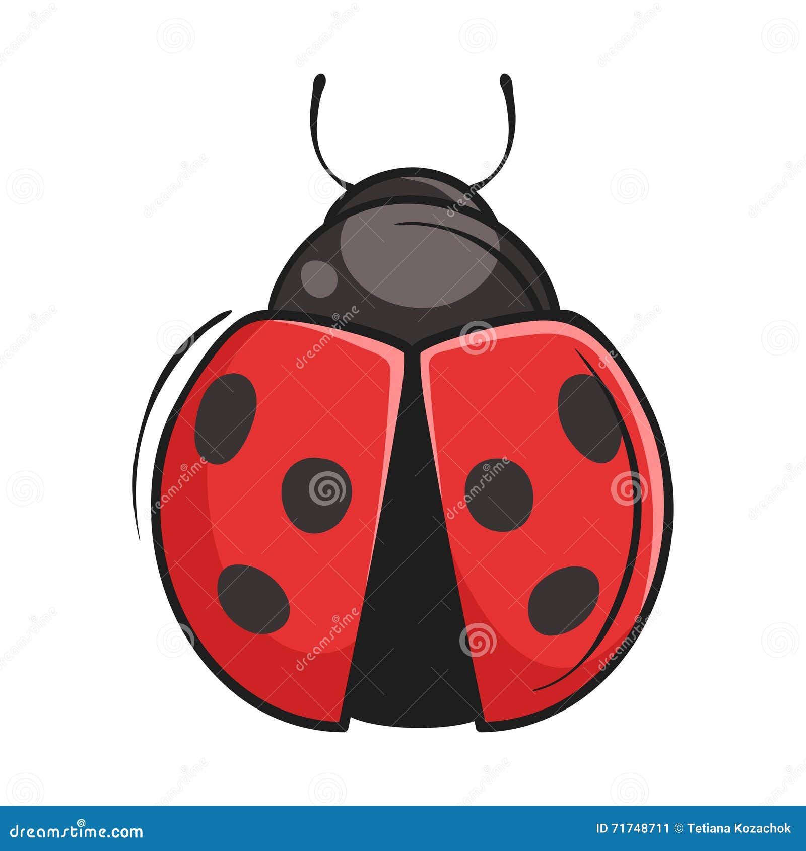 Vector Hand Drawn Illustration of Ladybug Stock Vector - Illustration ... Vector Hand Drawn Illustration of Ladybug Stock Vector - Illustration ...