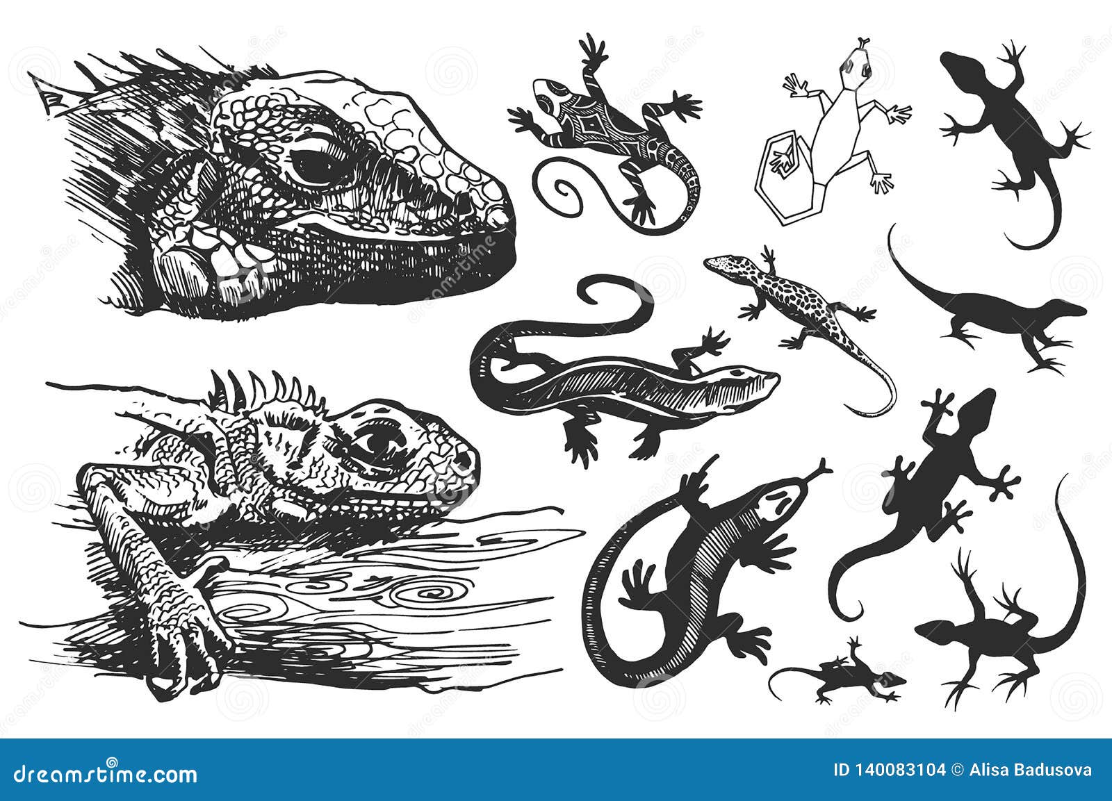 Illustration Lizard. Greeting Card With Two Gecko. | CartoonDealer.com ...