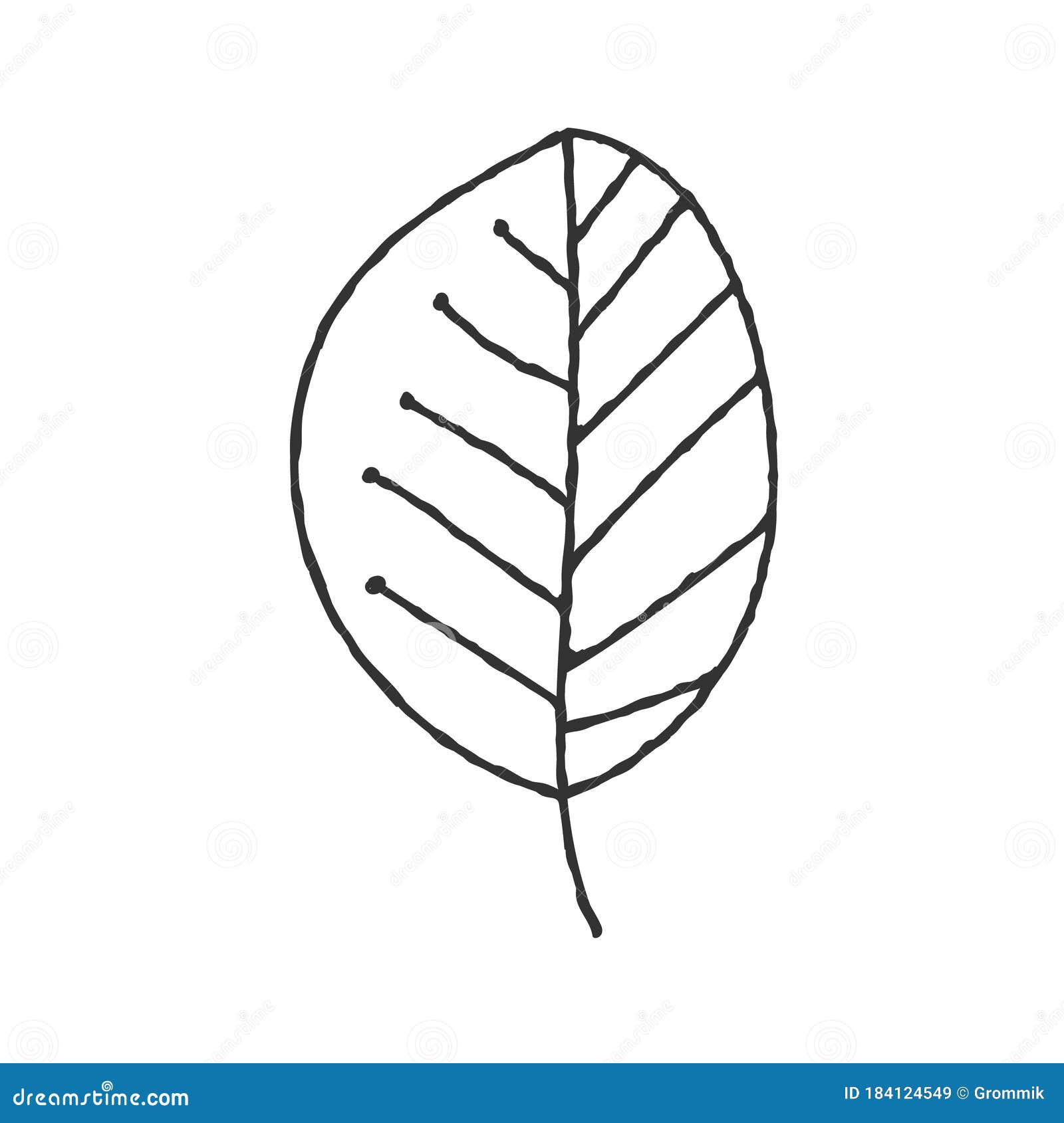 Vector Hand-drawn Illustration of a Plant Leaf. Doodle Style. an Empty ...