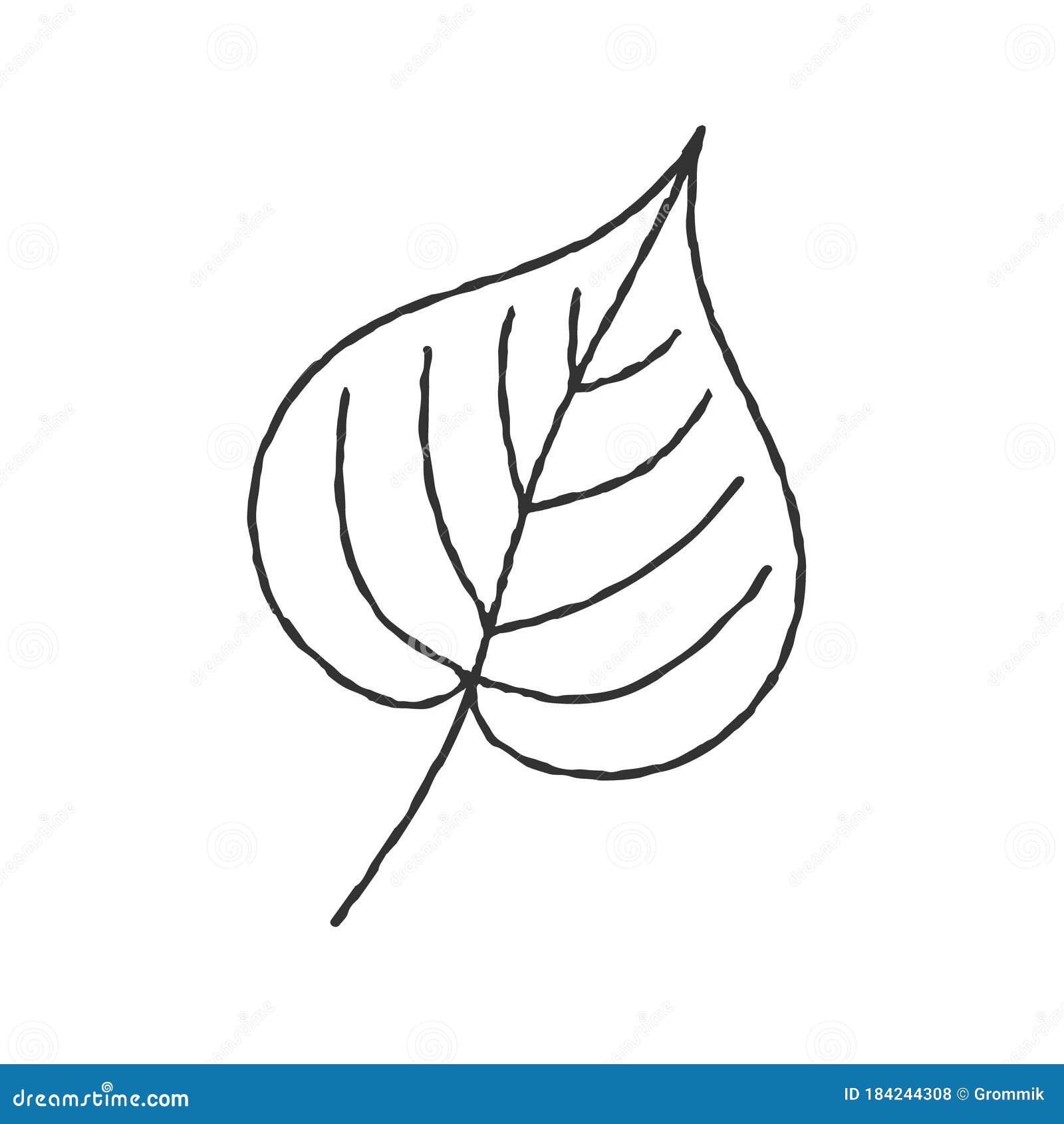 Blank Drawings Of Leafs