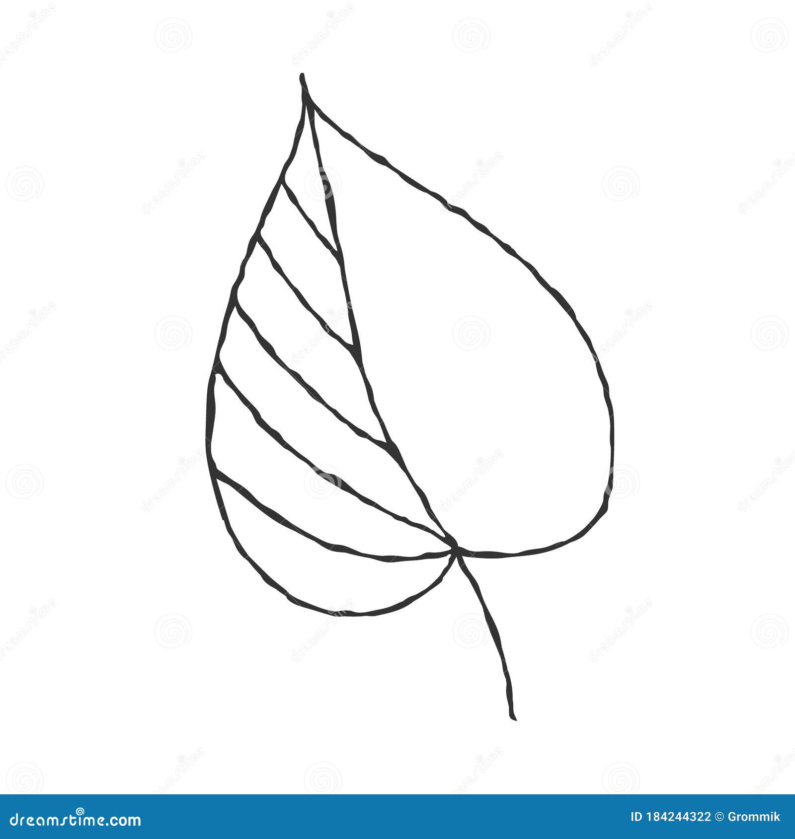 Vector Hand-drawn Illustration of a Plant Leaf. Doodle Style. an Empty ...