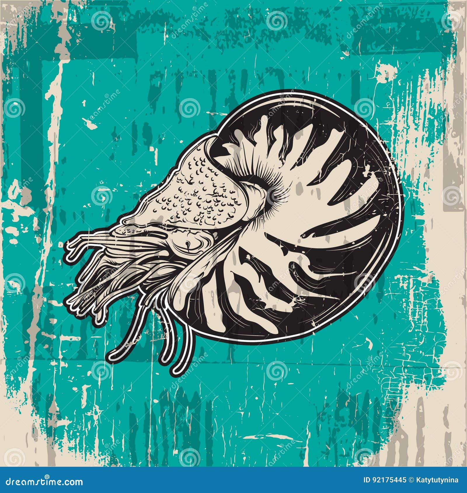 Vector Hand Drawn Illustration of Shellfish Nautilus in Realistic Style ...