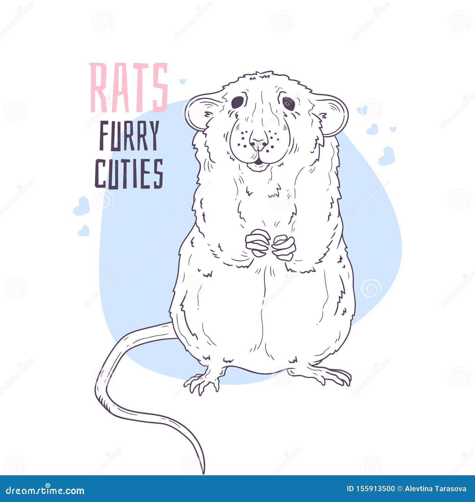 Vector Hand Drawn Illustrations. Cute Realistic Rat Stock Vector ...