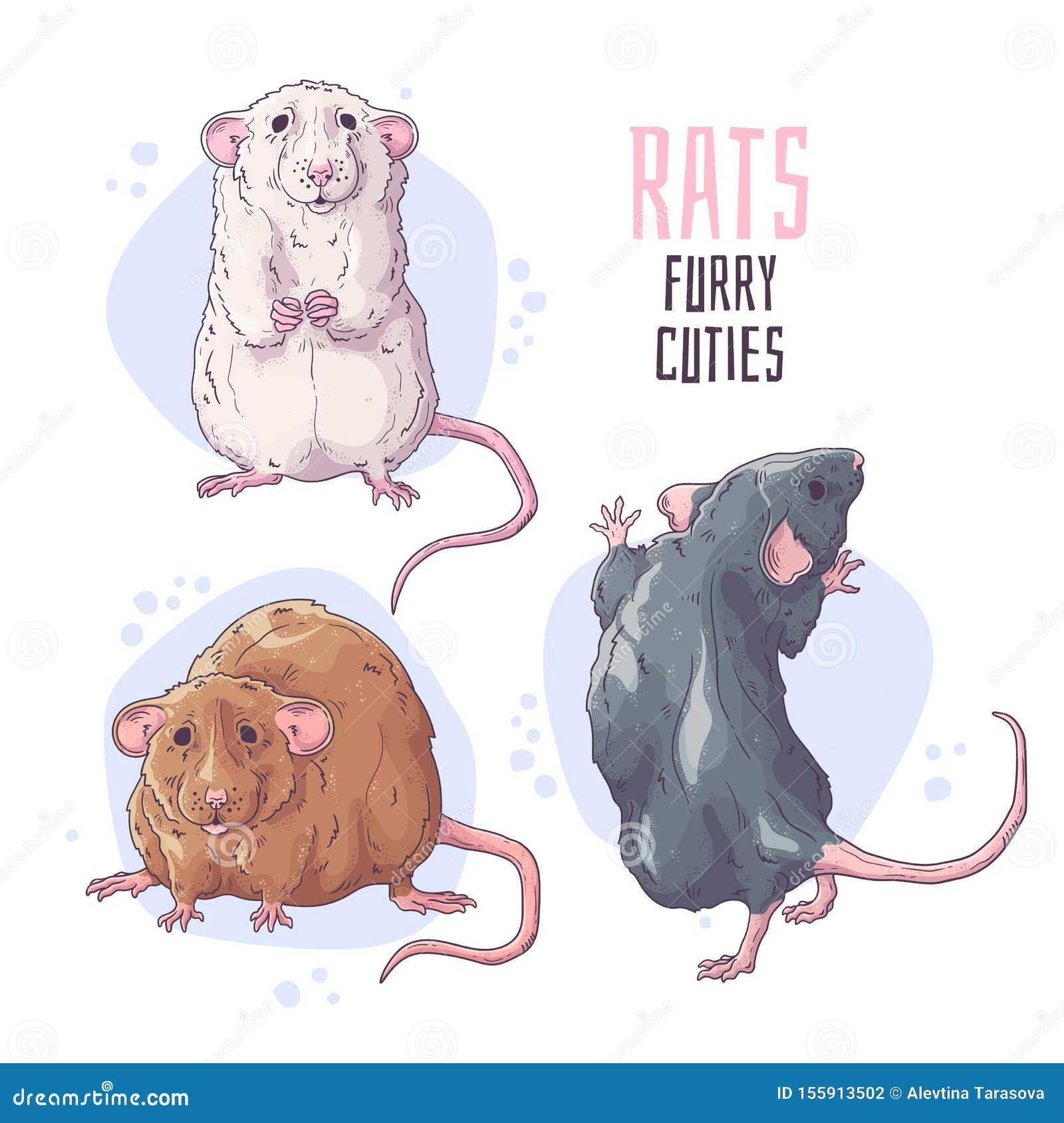 Vector Hand Drawn Illustrations. Cute Realistic Rat Stock Vector ...