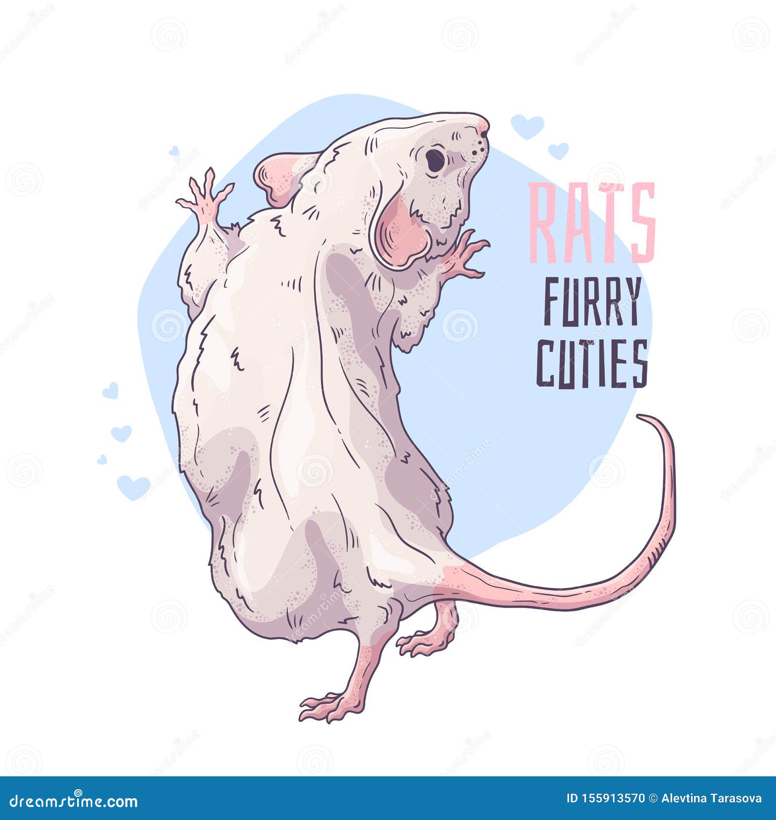 Vector Hand Drawn Illustrations. Cute Realistic Rat Stock Vector ...