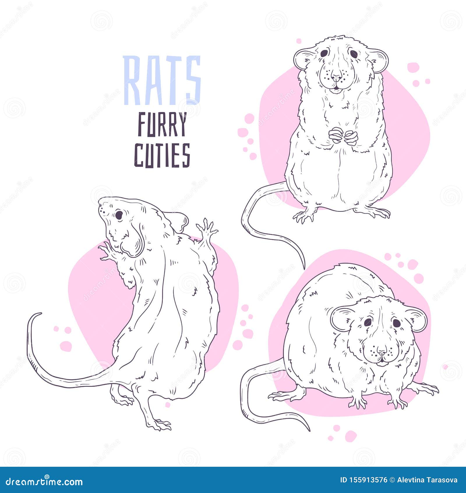 Vector Hand Drawn Illustrations. Cute Realistic Rat Stock Vector ...
