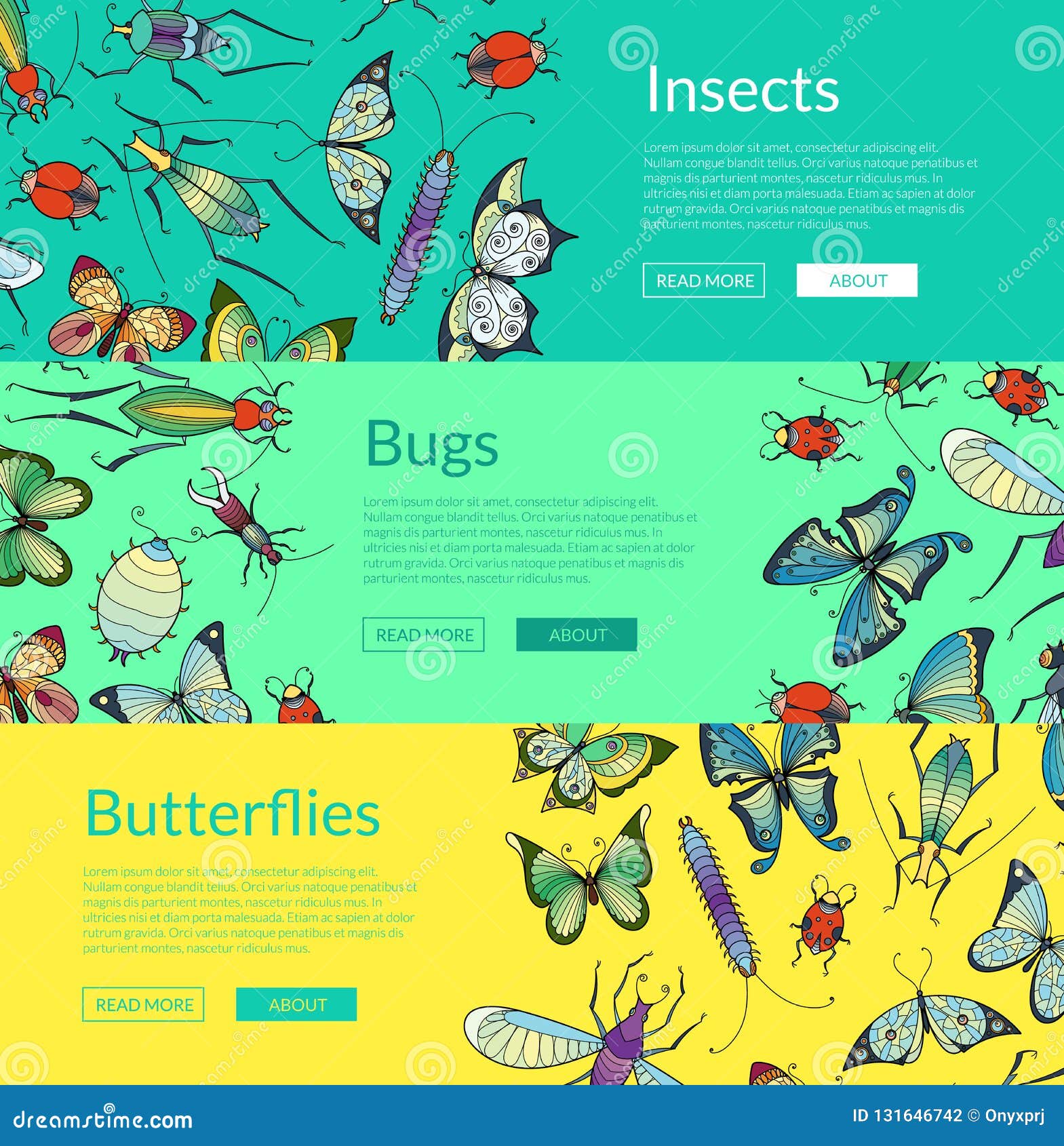 Vector Hand Drawn Insects of Set Colored Stock Vector - Illustration of ...